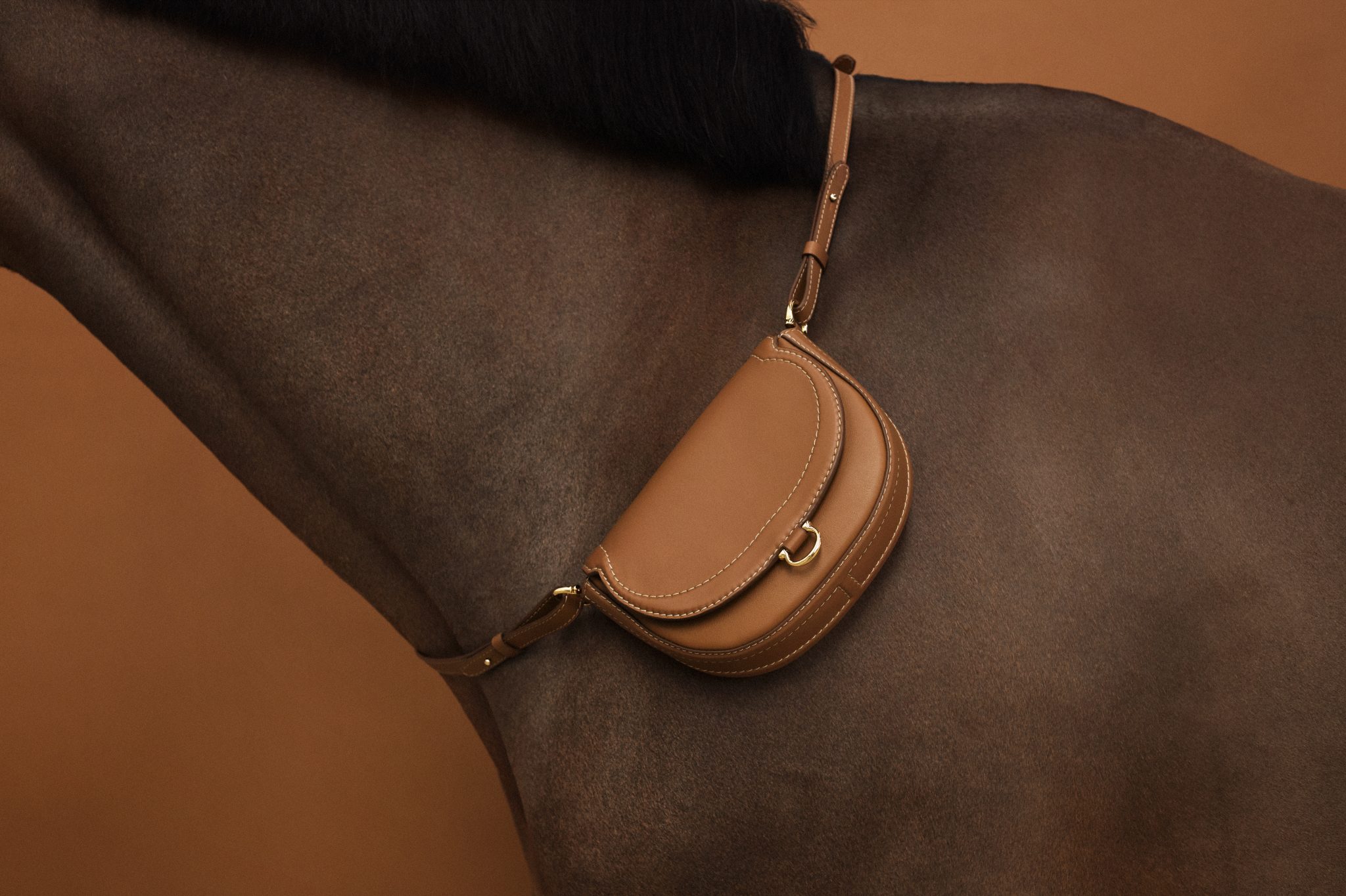 Carolina Herrera Presenta su Charro Insignia Bag - VIP